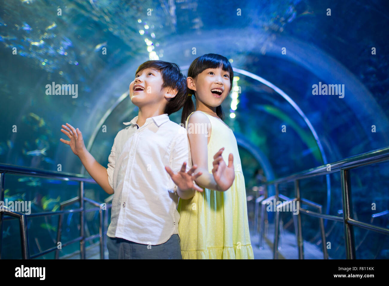 Children in aquarium Stock Photo - Alamy