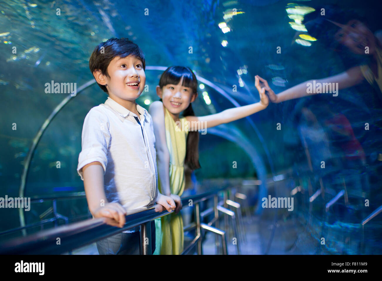 Children in aquarium Stock Photo - Alamy