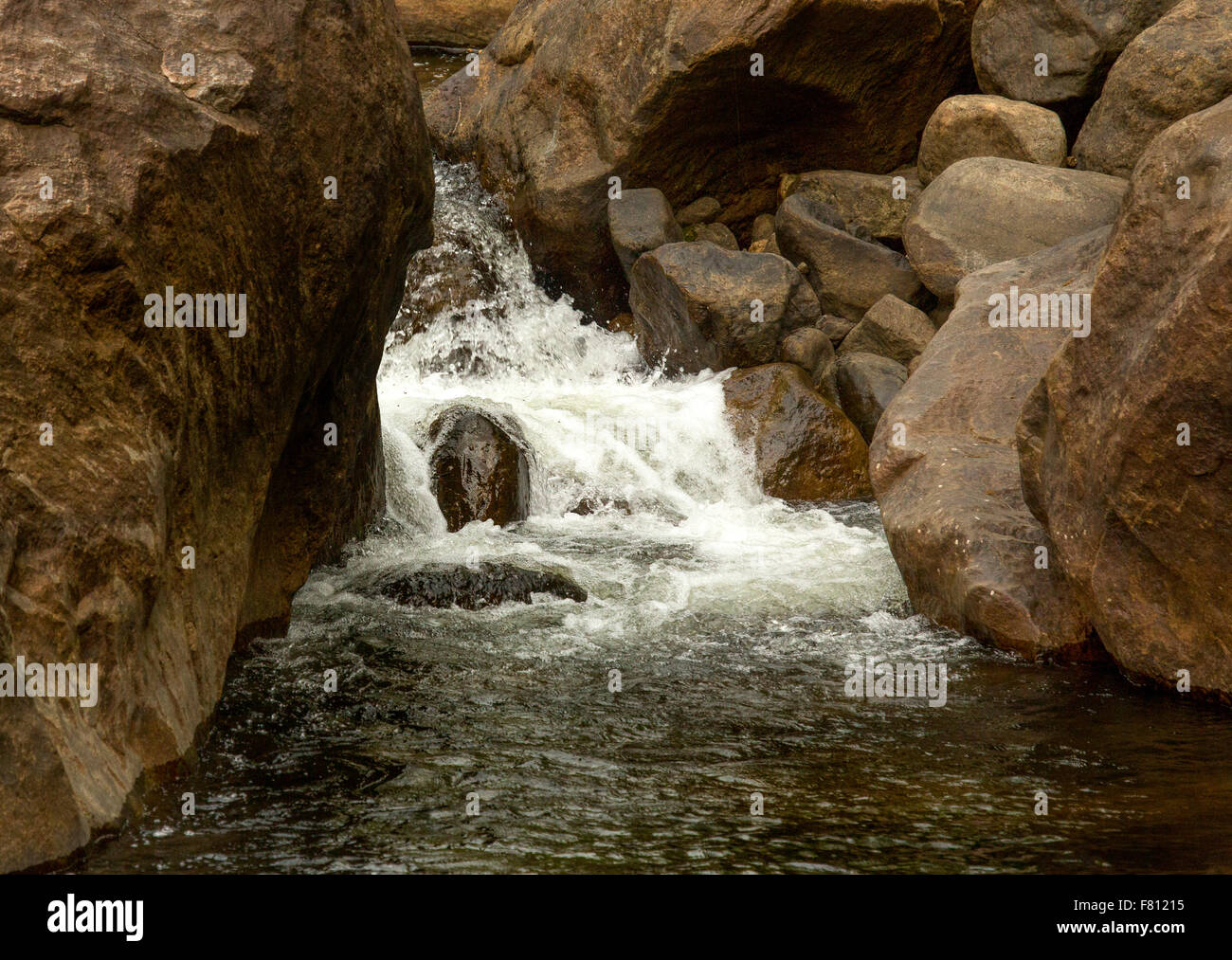 Rocky mountain stream through woodland Stock Photo - Alamy