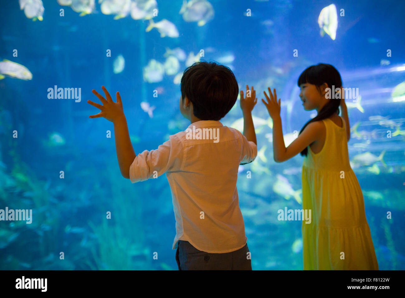 Child looking aquarium hi-res stock photography and images - Alamy