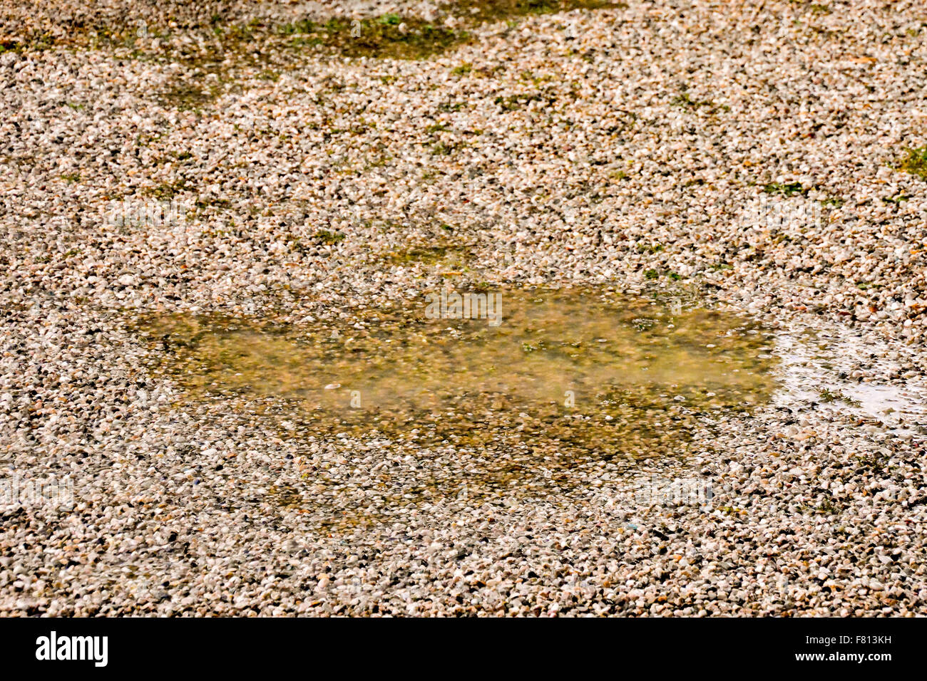 Puddle of water and raindrops Stock Photo - Alamy