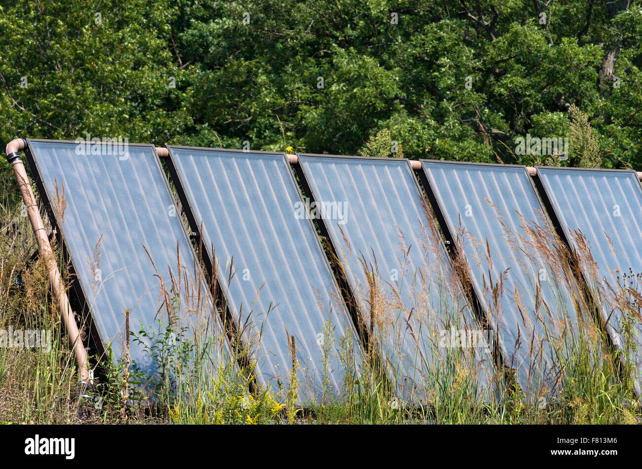 solar panel array surrounded by native plants of prairie and forest ...