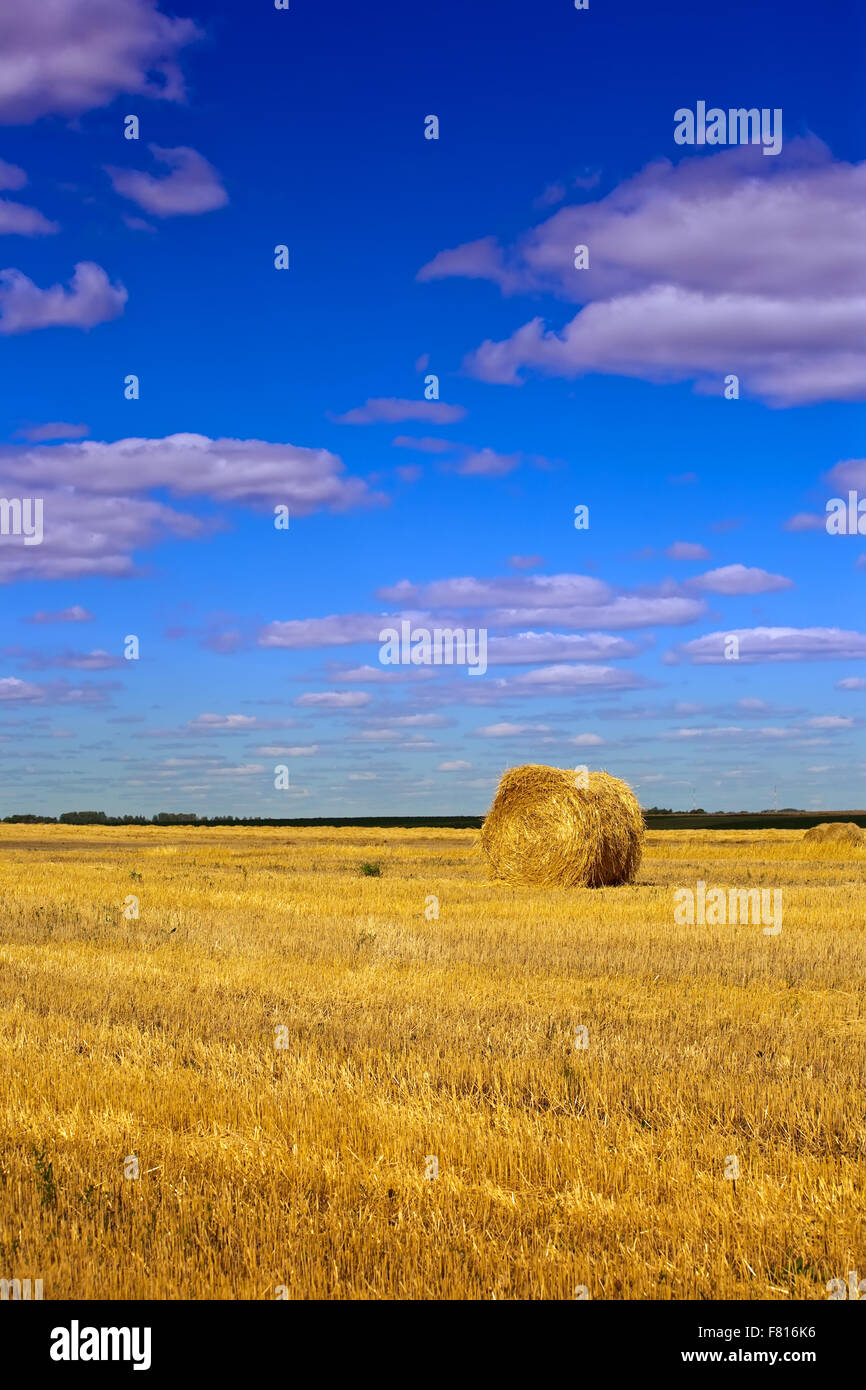 Straw bales with blue cloudy sky in summer Stock Photo - Alamy