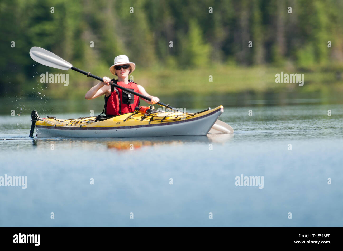 Kayaker on a lake in canada Stock Photo - Alamy