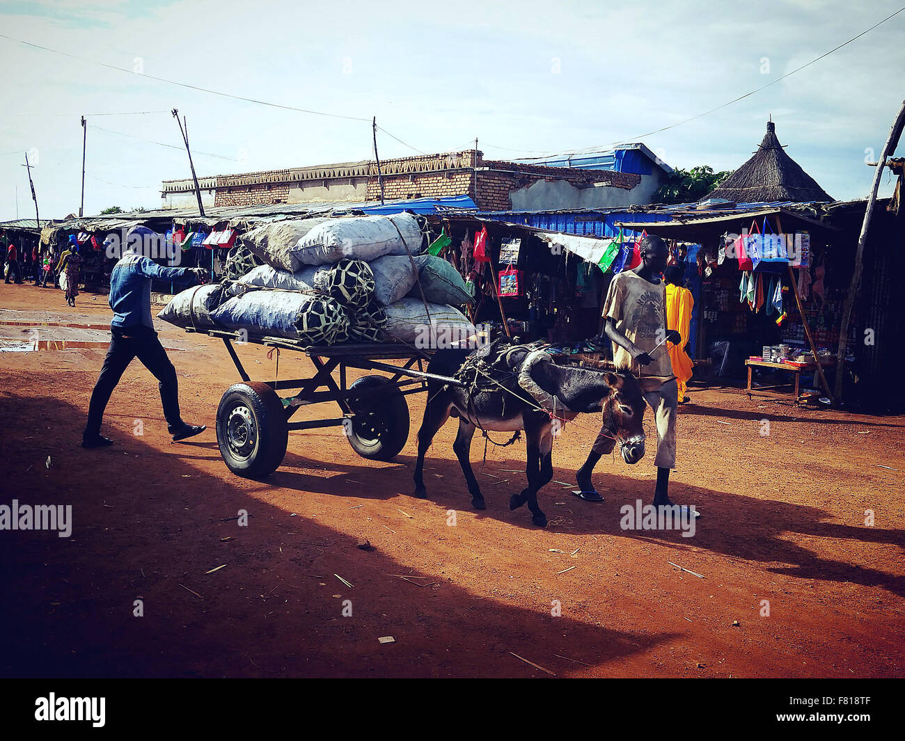 Warrup, South Sudan. 17th Sep, 2015. A donkey pulls a cart in the local ...