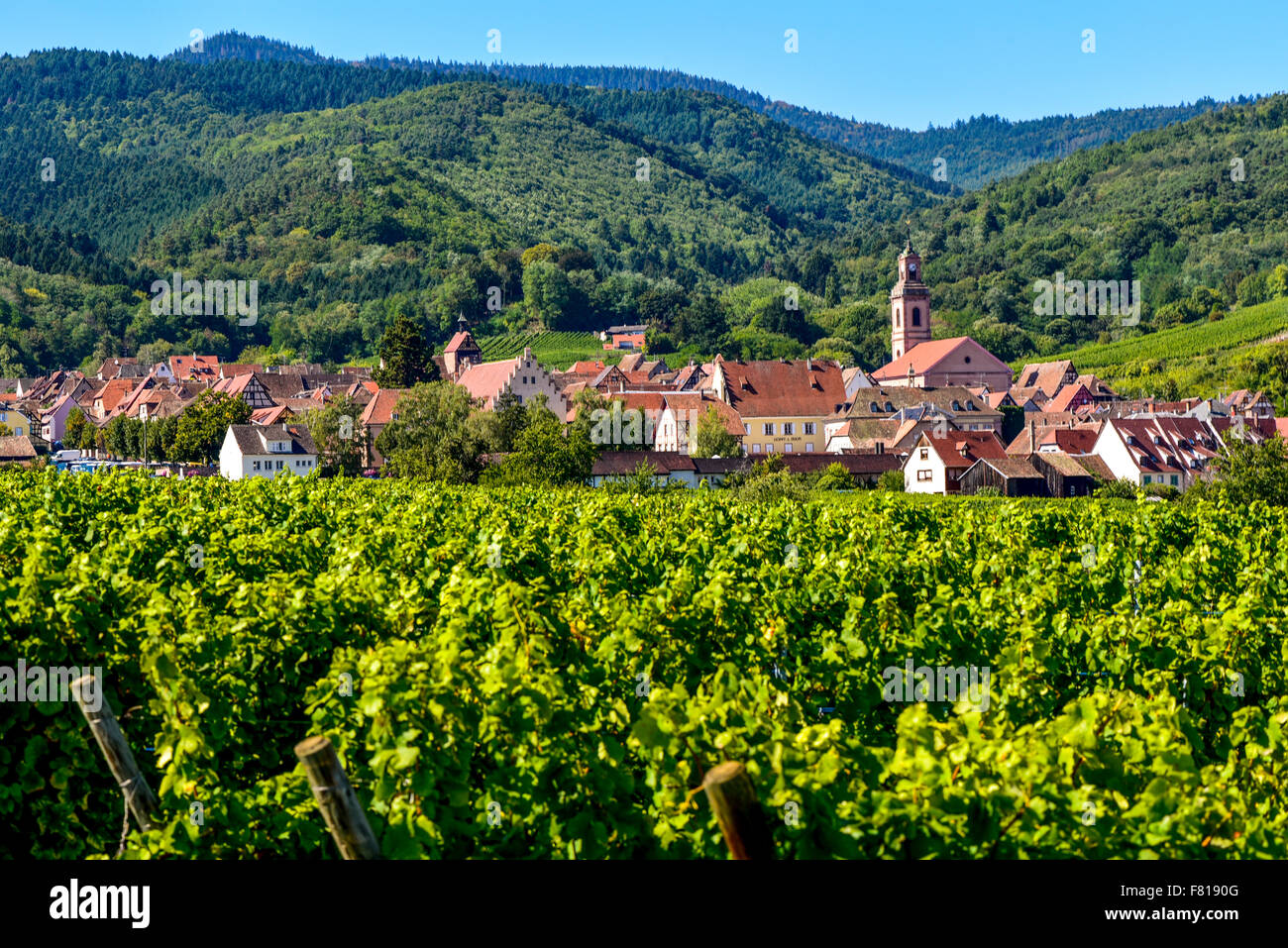 Ensisheim, Vine Growing Region Alsace, France Stock Photo - Alamy