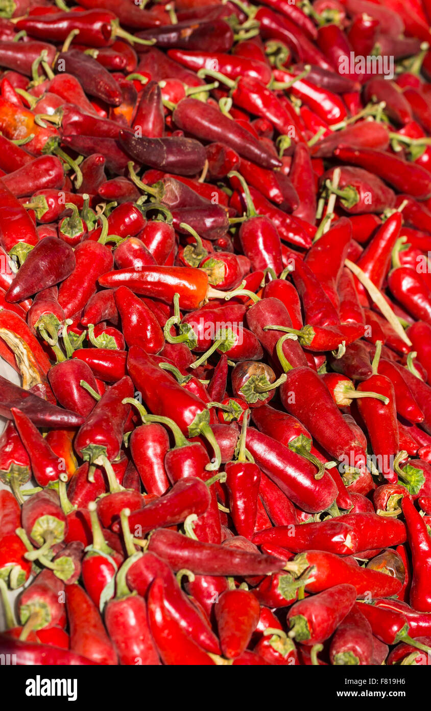 The picture shows a pile of small, red, very hot and spicy chilli ...