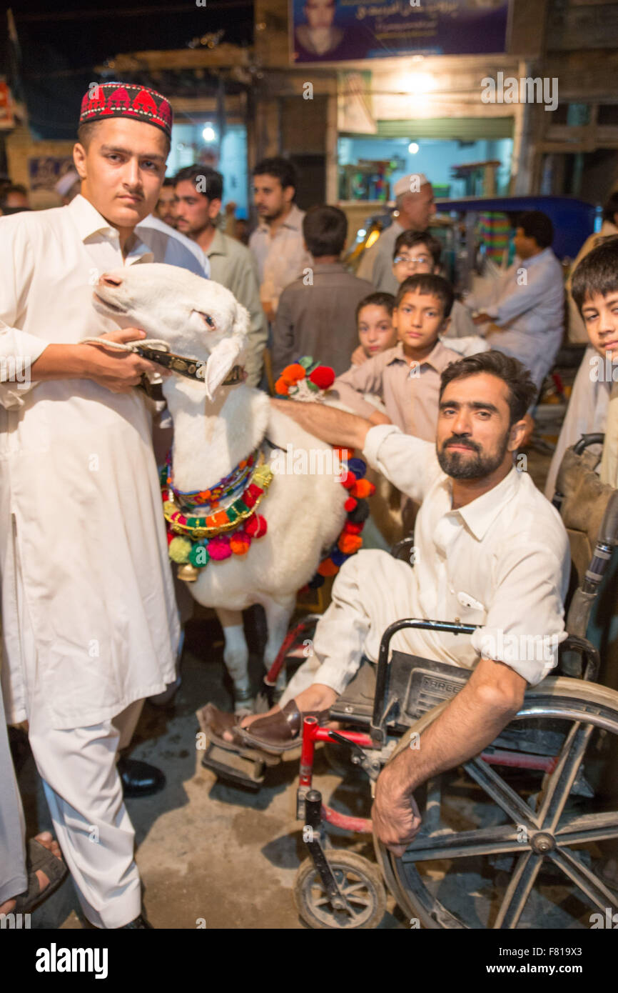 PESHAWAR, PAKISTAN, 23 Sep 2015: Vendor selling healthy sheep 200-250 ...