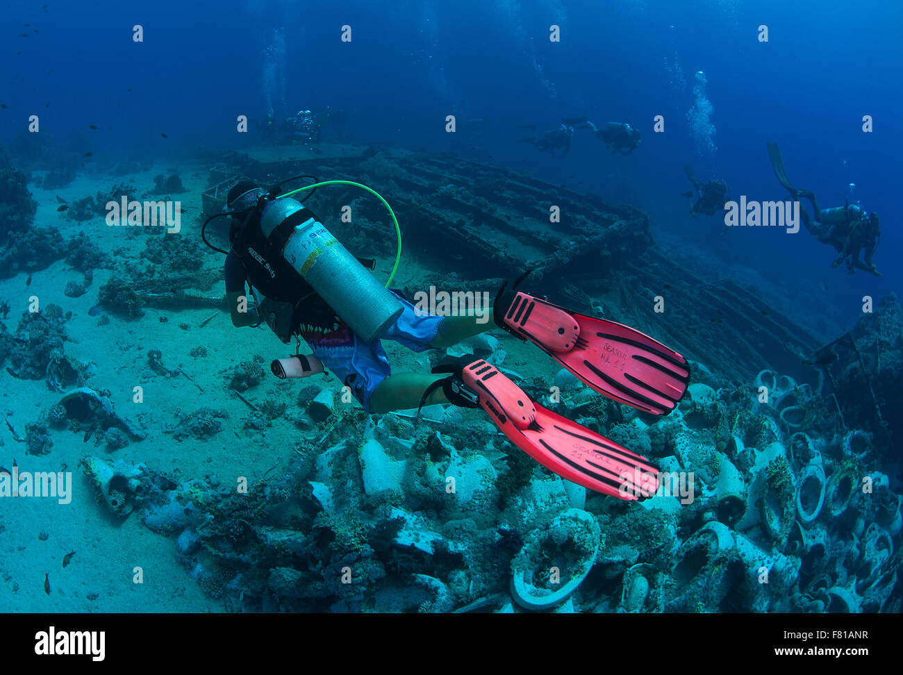 Diving on Jolanda wreck, Ras Mohammad, Sharm el- Sheikh, Red Sea, Egypt ...