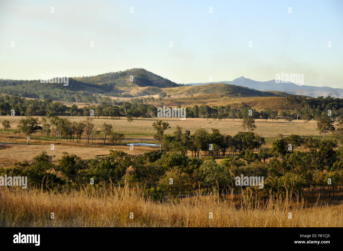 Australian bush scenes hi-res stock photography and images - Alamy