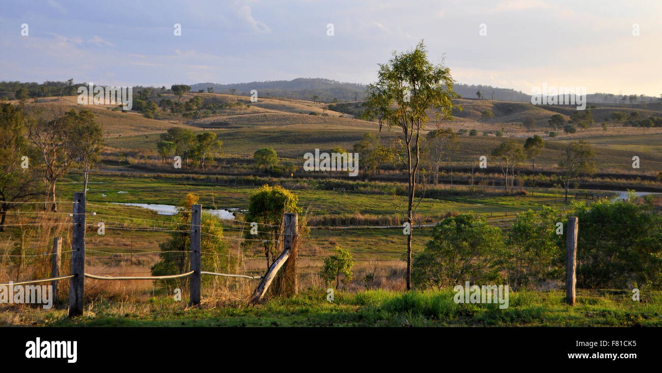 Australian landscape trees hi-res stock photography and images - Alamy