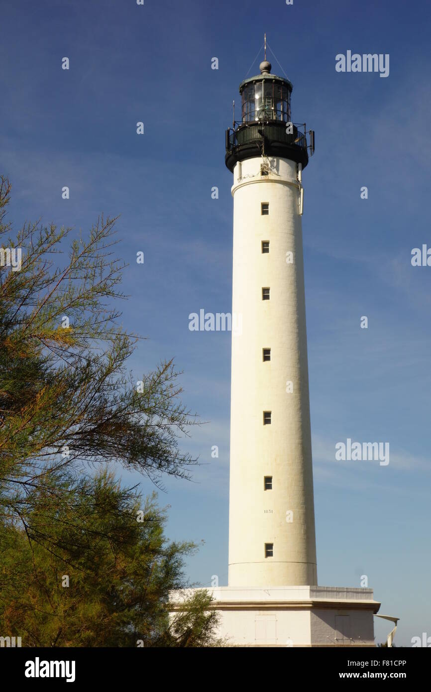 Lighthouse with trees hi-res stock photography and images - Alamy