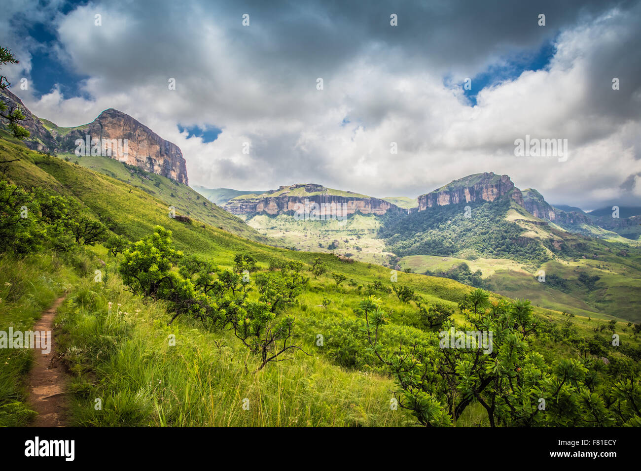 Panoramic view of the Drakensberg National Park in Kwazulu Natal Stock ...