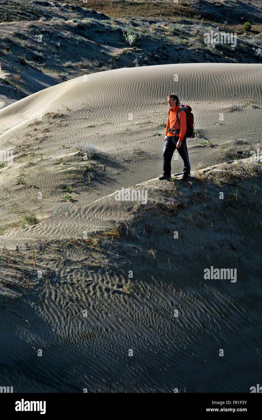 Hiker walking cross country through Juniper Dunes Wilderness area ...