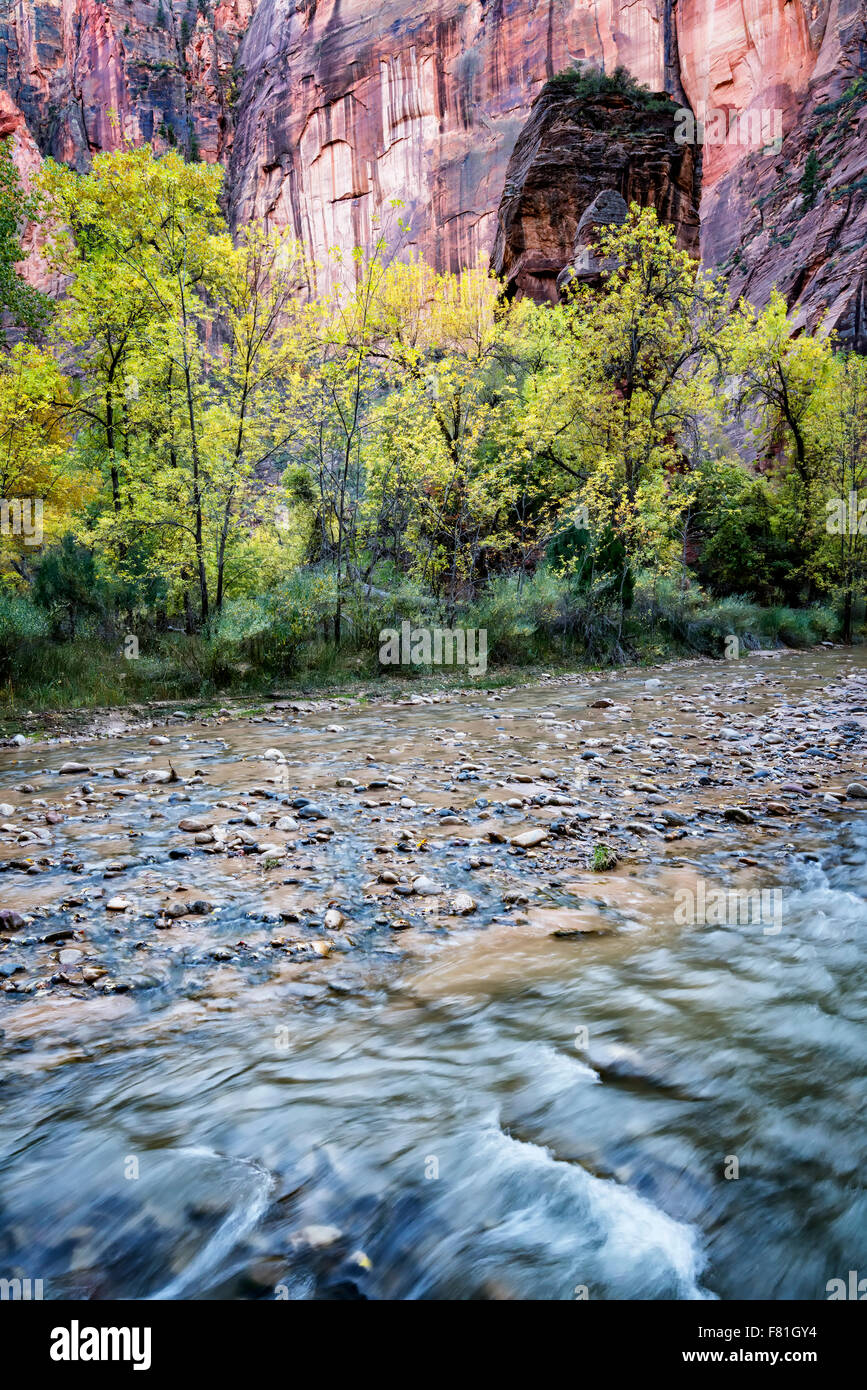 Zion National Park in Fall Stock Photo - Alamy