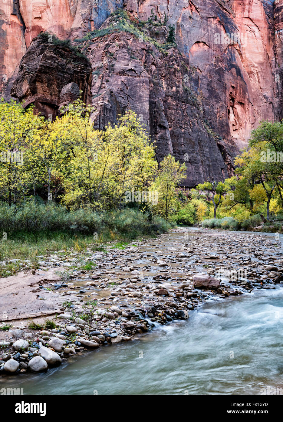 Zion National Park in Fall Stock Photo - Alamy