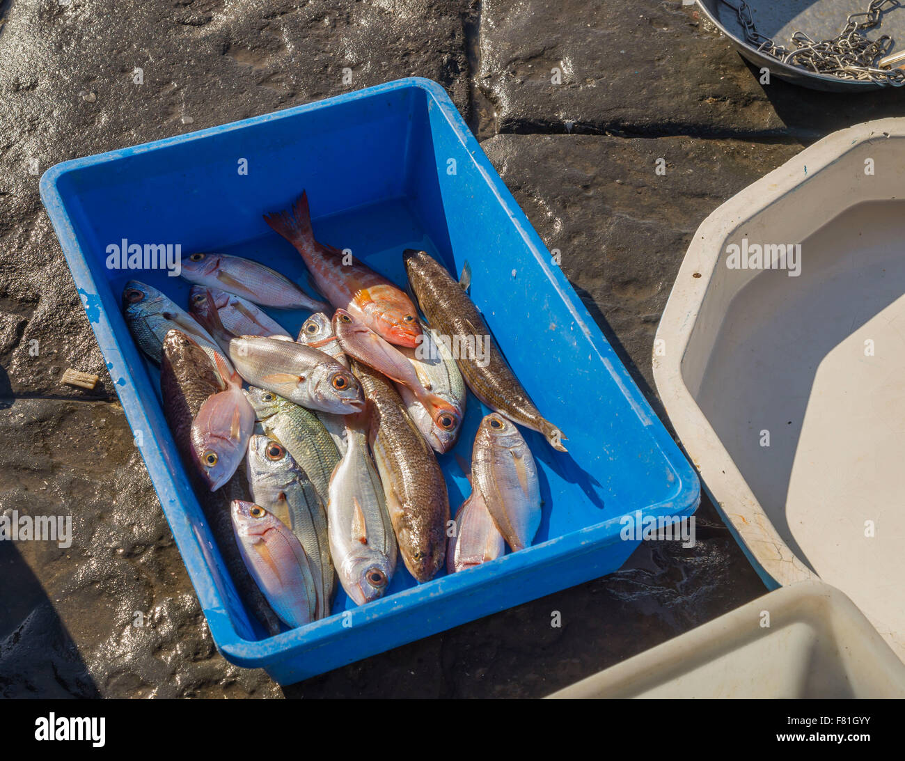 Typical outdoor Italian fish market with fresh fish and seafood Stock ...