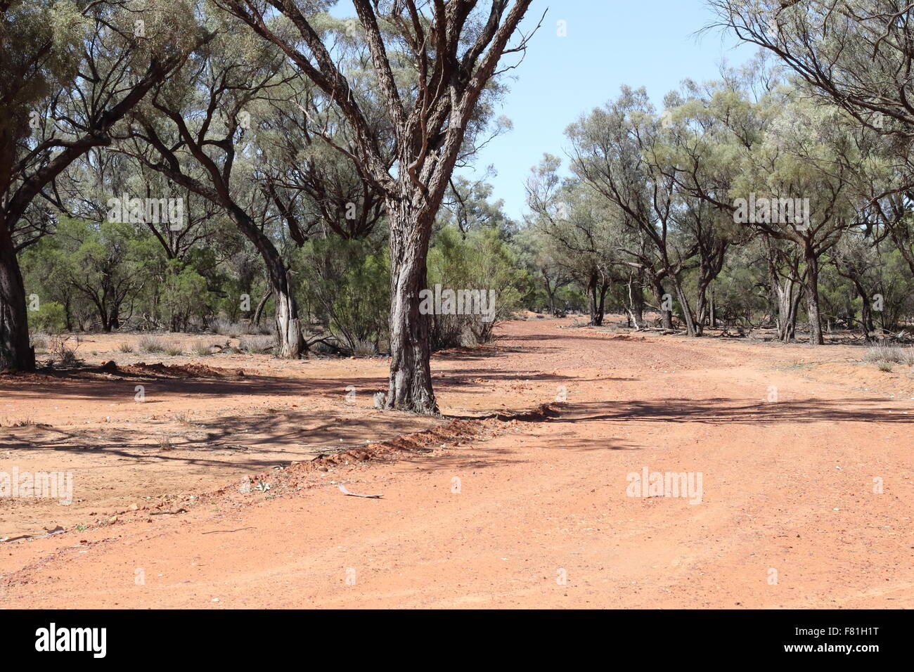 Outback of Australia Stock Photo - Alamy