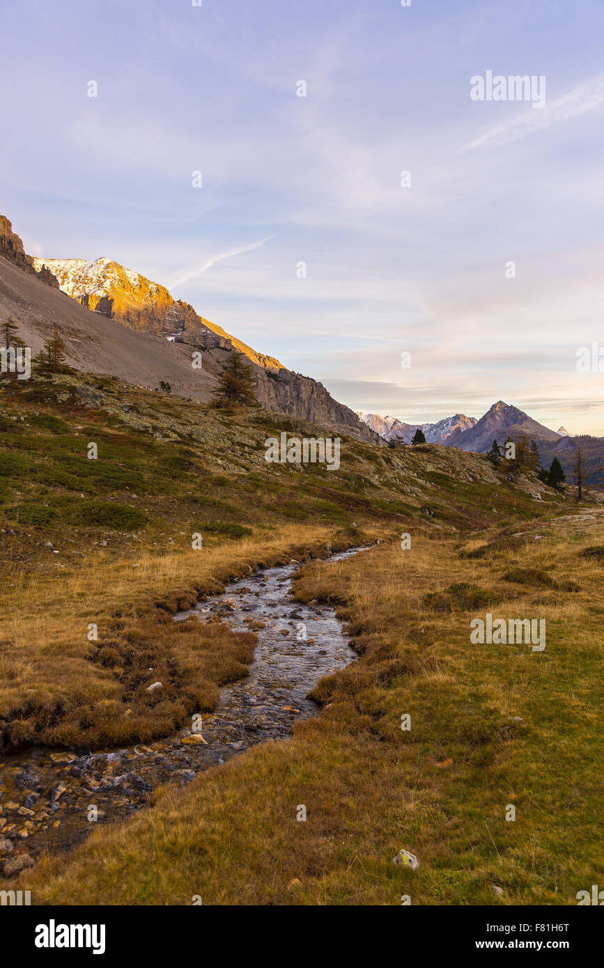 Flowing transparent waters on high altitude alpine stream in idyllic ...