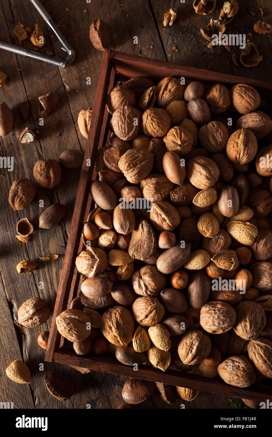 Assorted Mixed Organic Nuts with Walnuts Almonds and Pecans Stock Photo ...