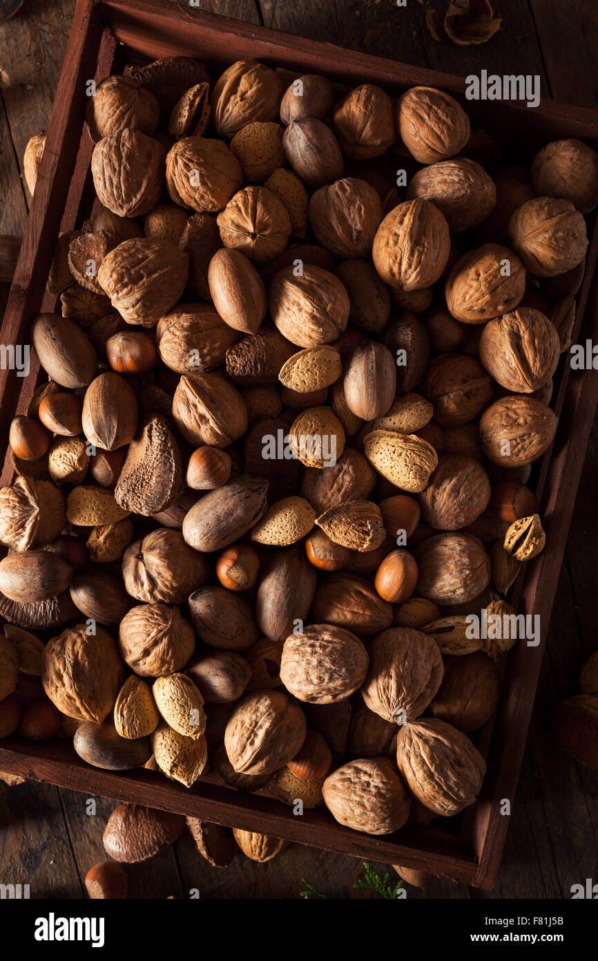 Assorted Mixed Organic Nuts with Walnuts Almonds and Pecans Stock Photo ...