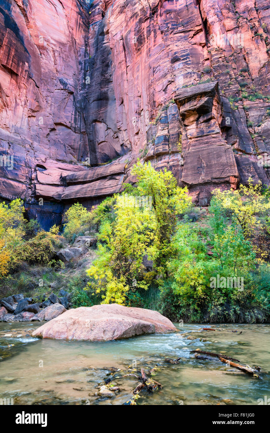Zion National Park Cliff in Fall Stock Photo - Alamy