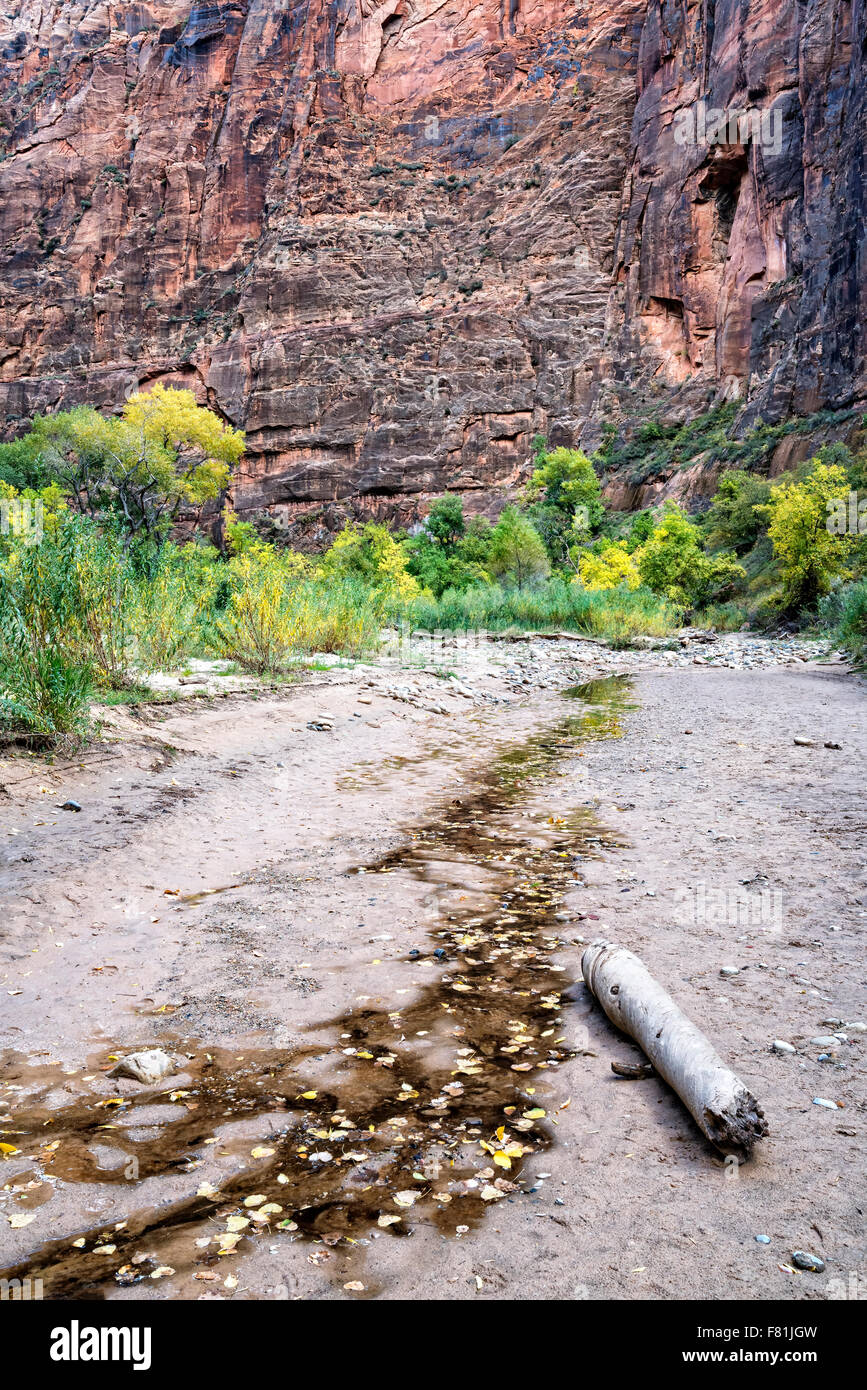 Water in Zion National Park in fall Stock Photo - Alamy