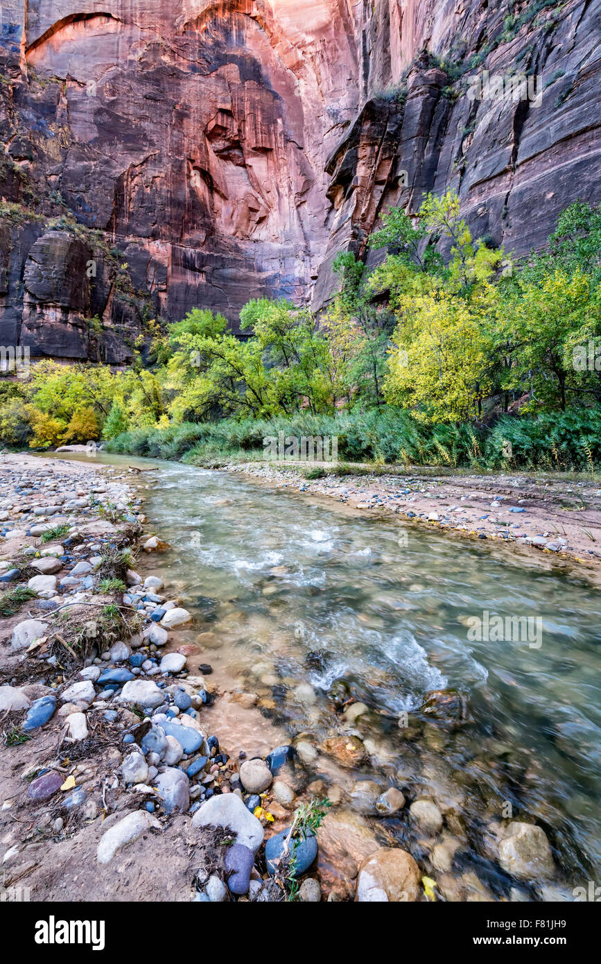 Zion National Park in fall color Stock Photo - Alamy