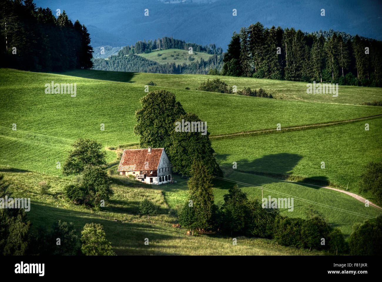 Typical scene in the Schwarzwald (Black Forest), Baden-Wurttemberg ...