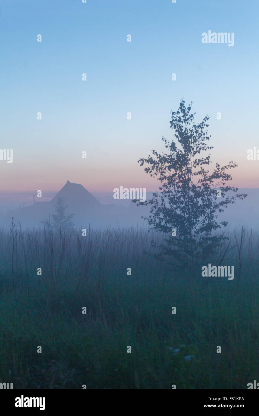 Misty Beautiful Nature Field Background Stock Photo - Alamy
