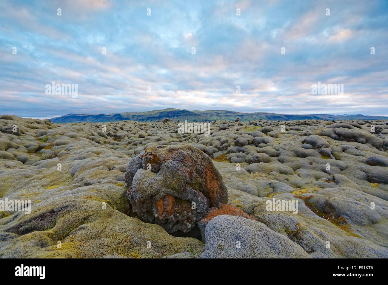 Mossy rocks in Iceland Stock Photo - Alamy