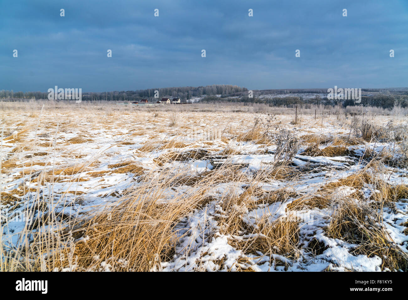 Snowfall at Winter Snowy Field Nature Background Stock Photo - Alamy