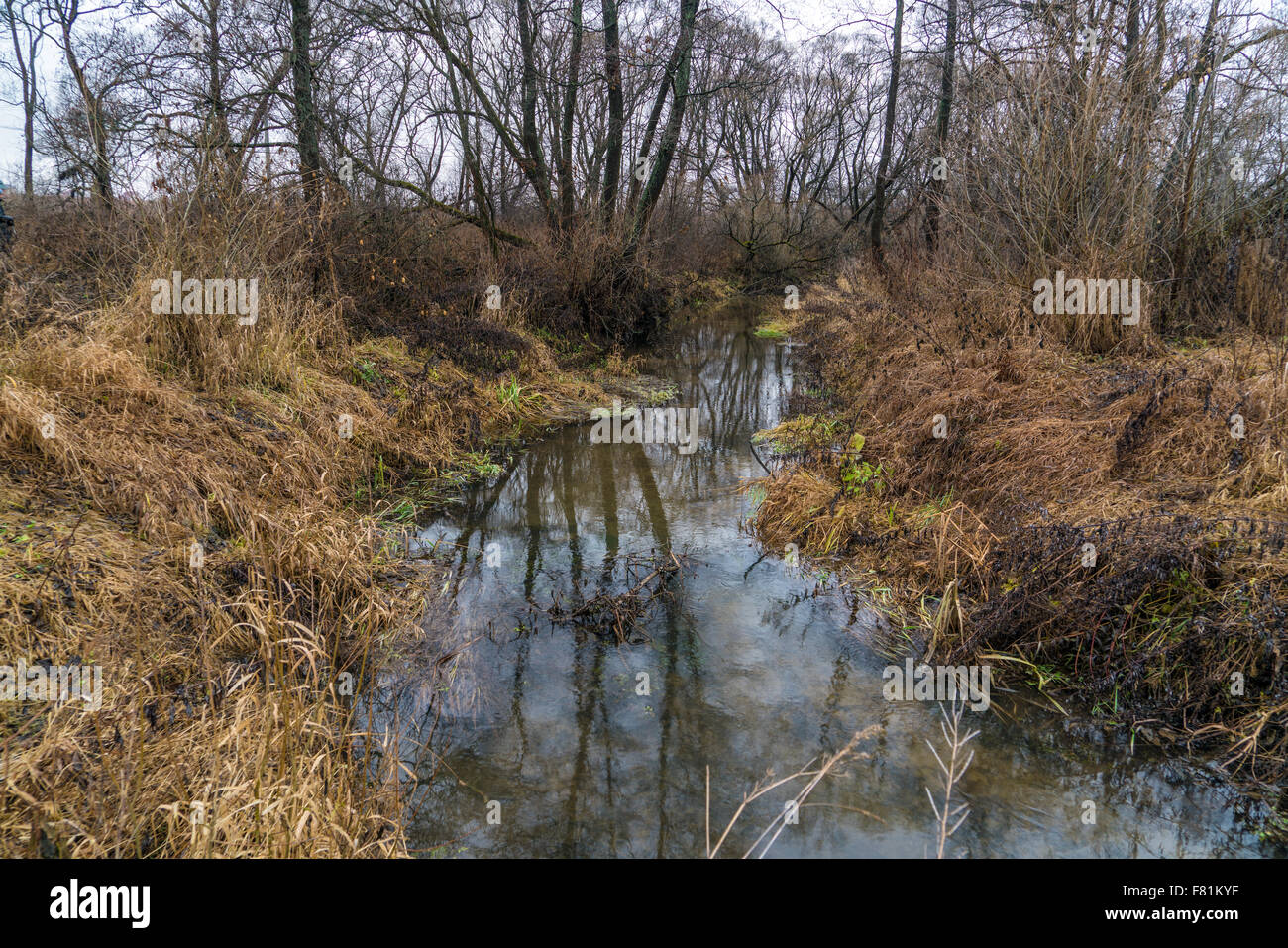 Autumn scene at the river hi-res stock photography and images - Alamy
