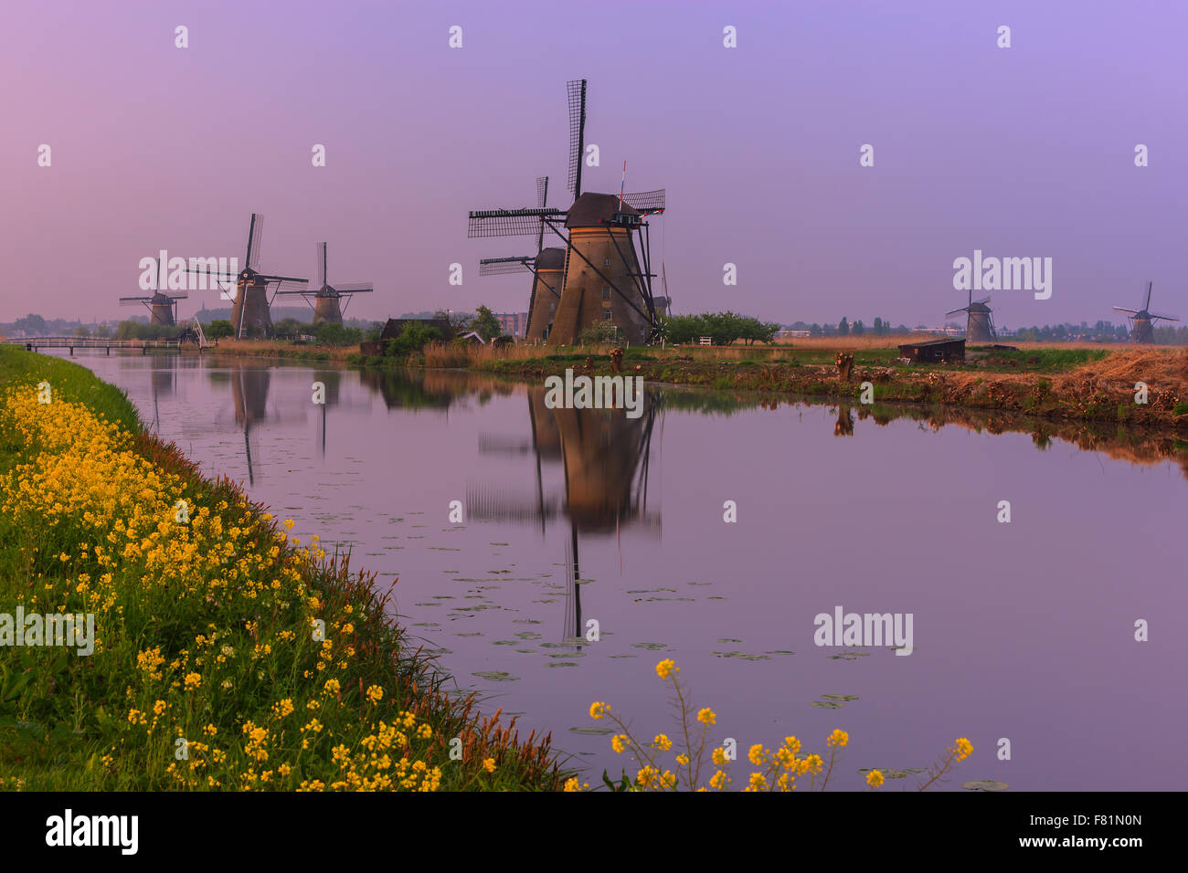 The famous windmills at the Kinderdijk, south Holland, Netherlands ...
