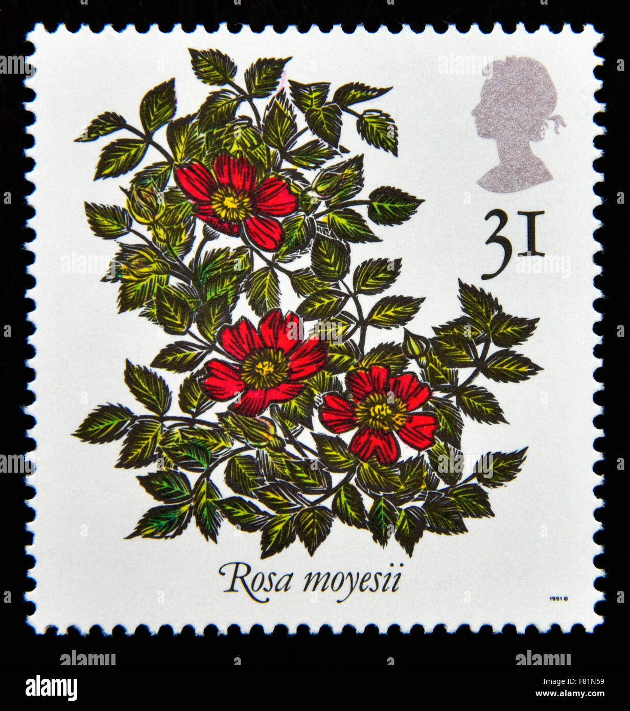 Postage stamp. Great Britain. Queen Elizabeth II. 1991. 9th. World ...