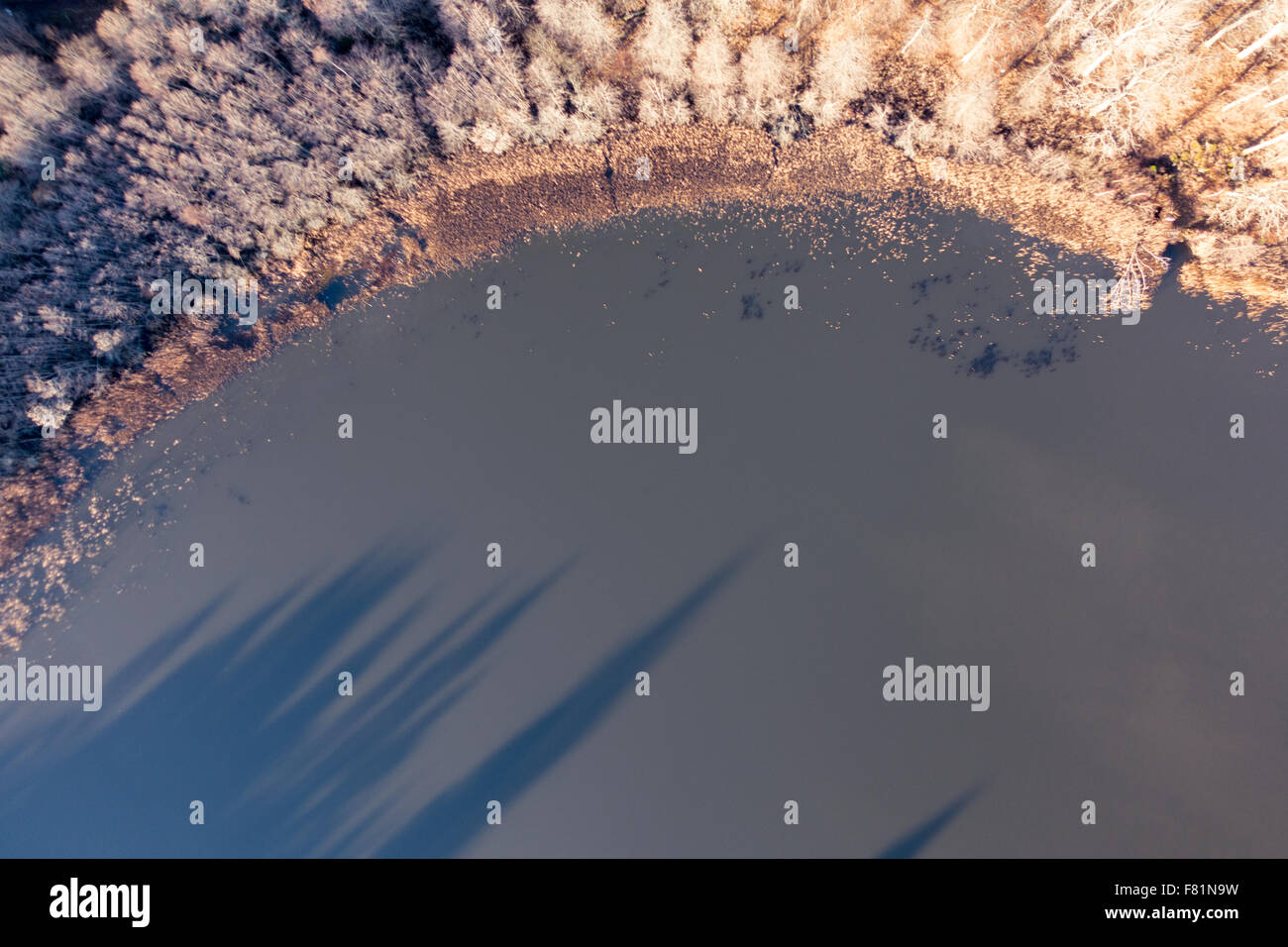 Long shadows and a shoreline in fall Stock Photo - Alamy