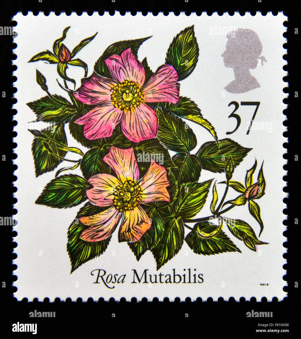 Postage stamp. Great Britain. Queen Elizabeth II. 1991. 9th. World ...