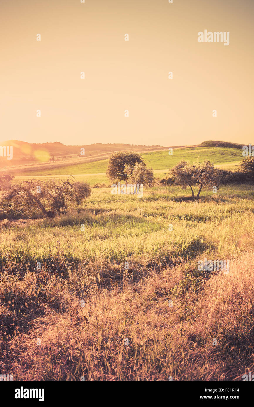 Retro tone hi-res stock photography and images - Alamy