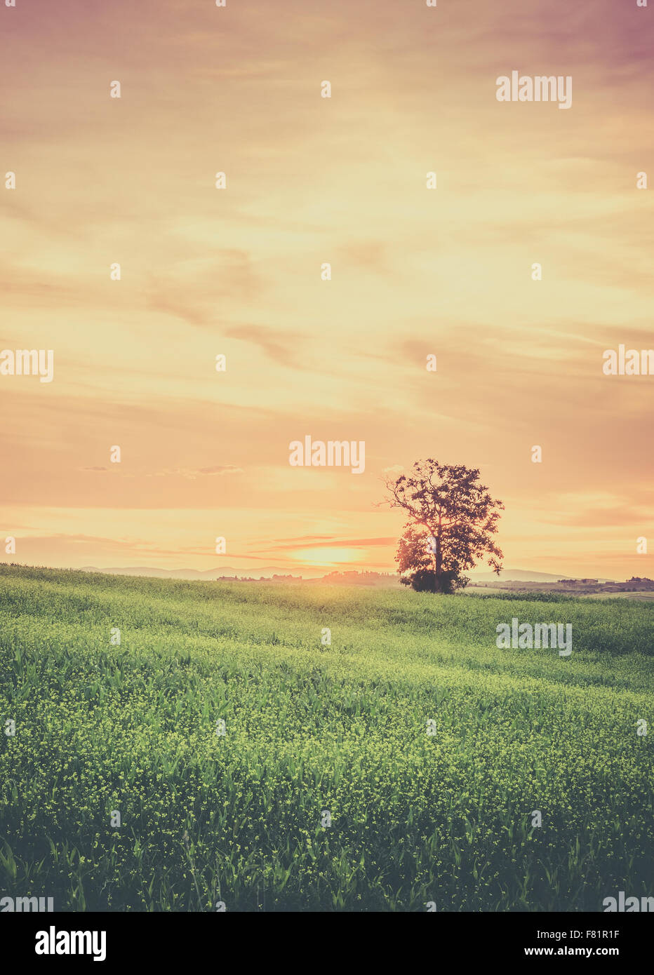 Retro tone hi-res stock photography and images - Alamy