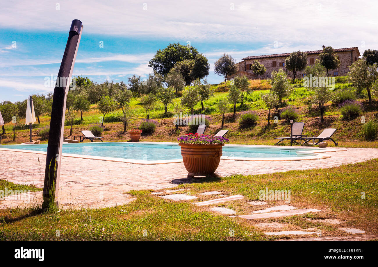 Swimming pool among olive trees in Tuscany Stock Photo - Alamy
