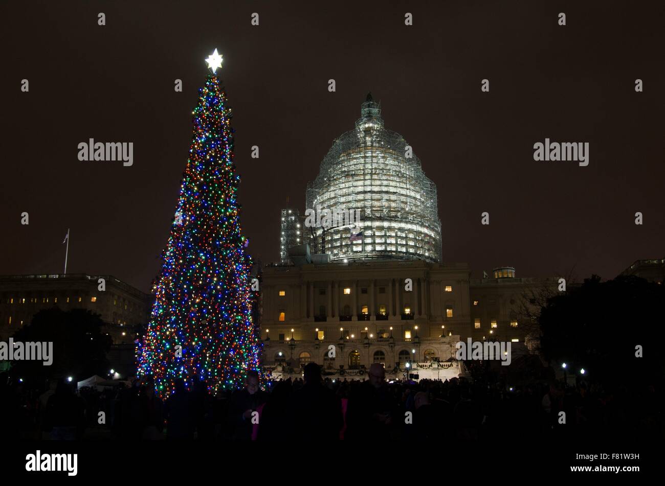 The US Capitol Christmas tree illuminated after being lit by House ...