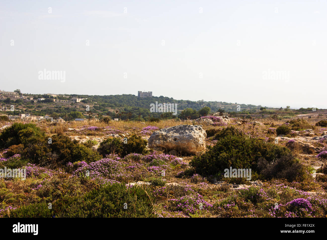 Dry countryside in Dingli Stock Photo - Alamy