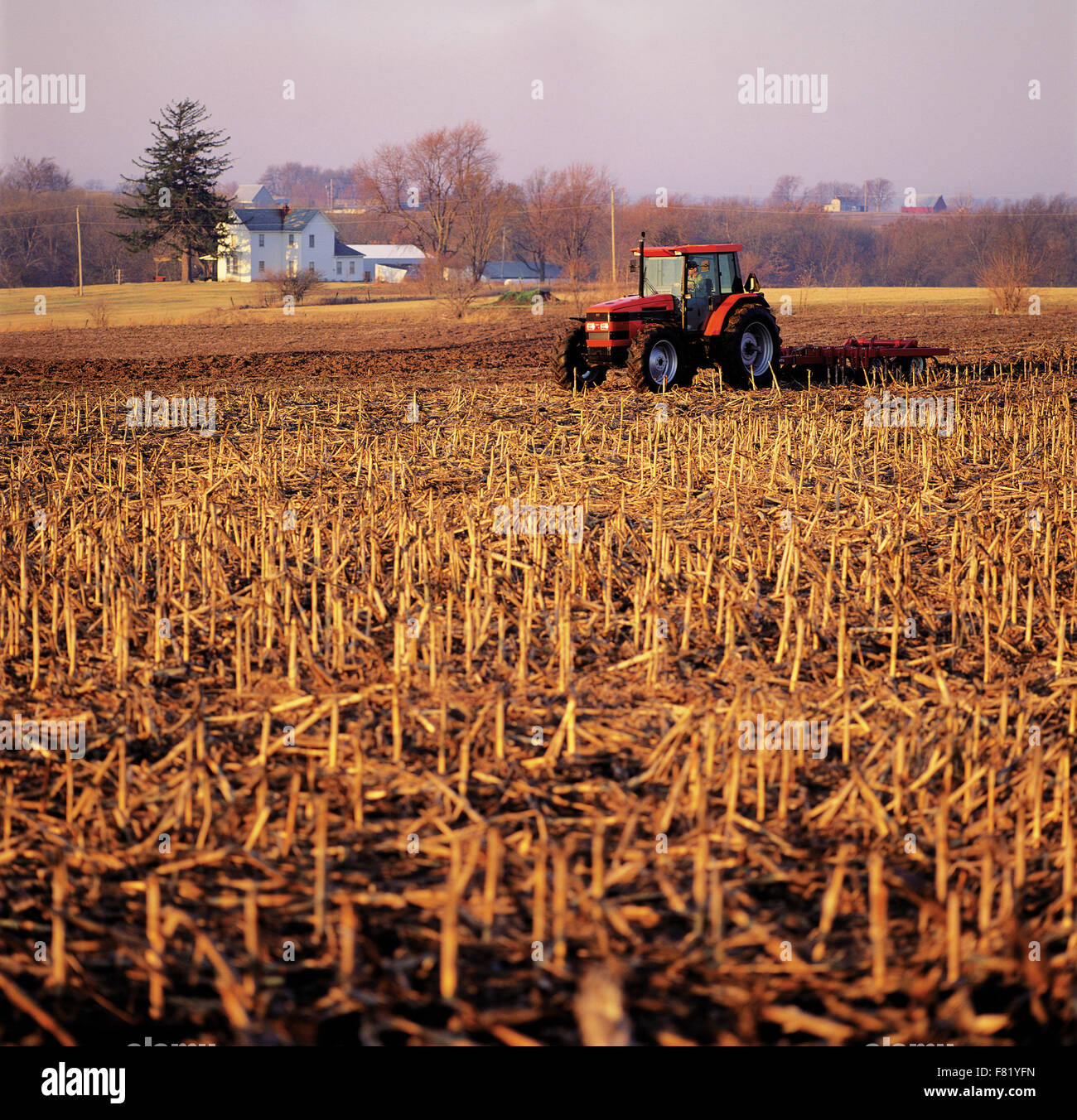 Corn field farm corn tractor hi-res stock photography and images - Alamy