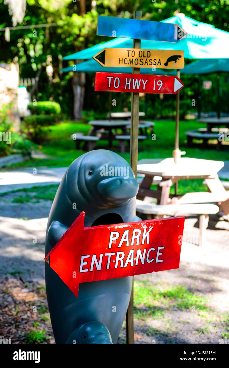 Manatee Tour Stock Photos & Manatee Tour Stock Images - Alamy