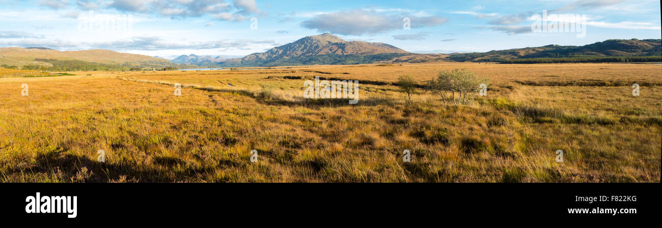 Landscape of the moidart peninsula Stock Photo - Alamy