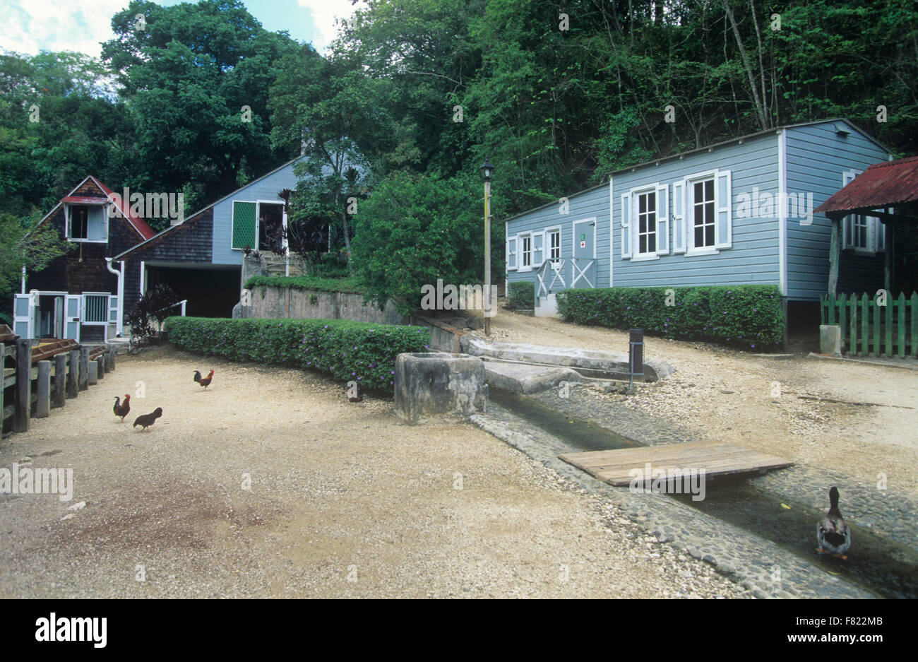 Hacienda Buena Vista is a restored 1833 coffee plantation and farm near ...