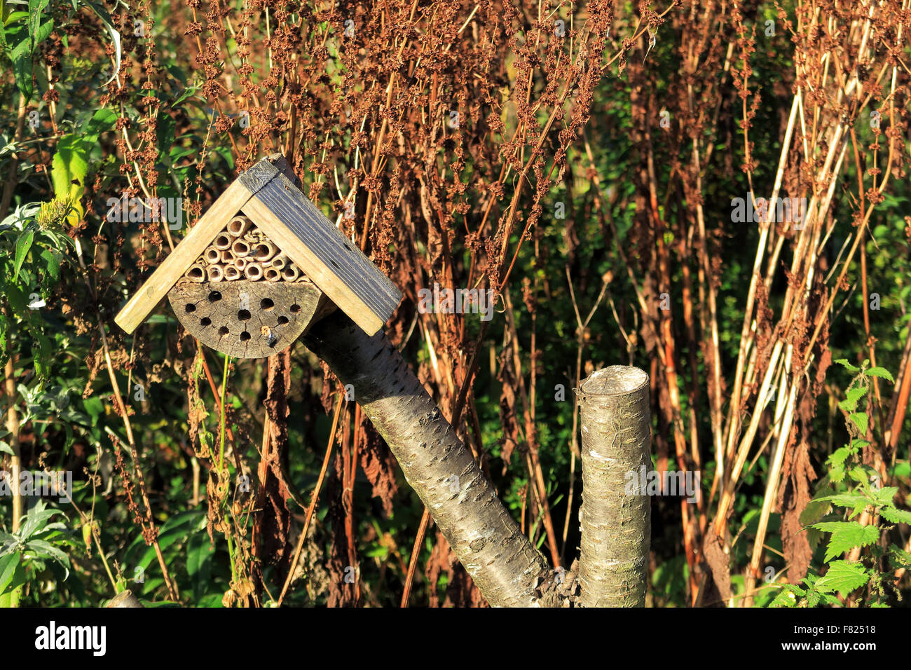 structure with wooden tubes in which gives bugs and insects a place to ...
