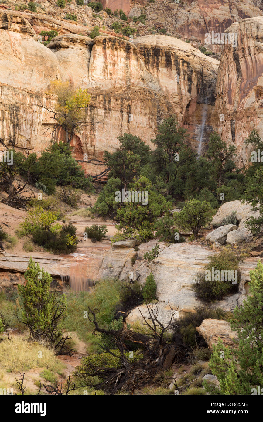 Flash flood waterfall hi-res stock photography and images - Alamy