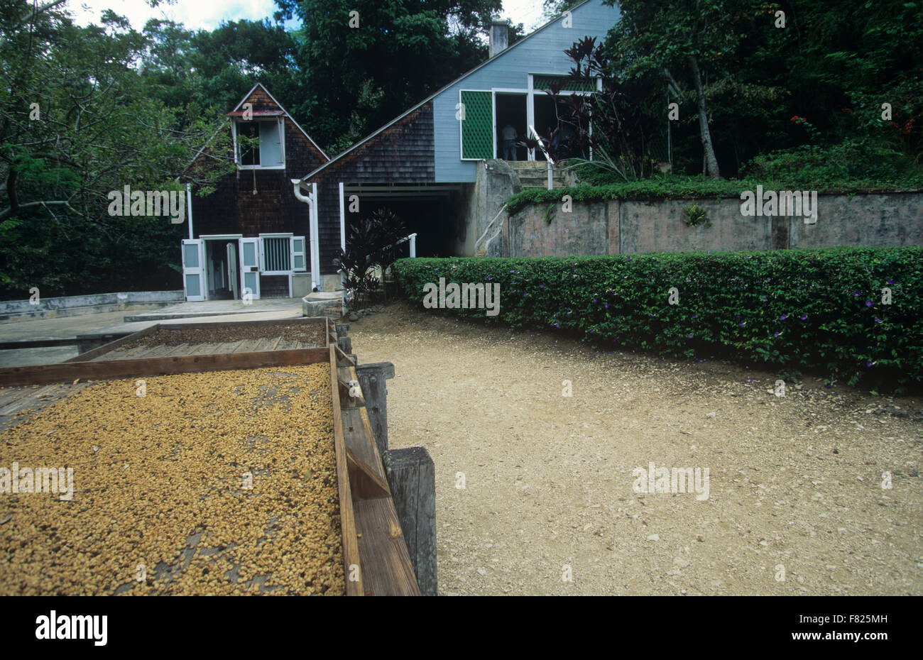 Hacienda Buena vista is a restored 1833 coffee plantation and farm near ...