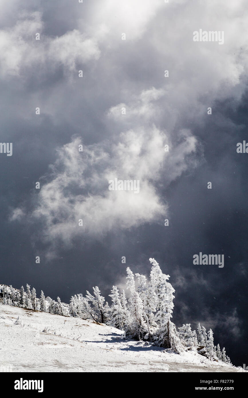 Snow dropping on Jackson Hole Ski Resort during the fall season ...
